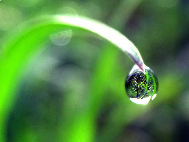 Networking Groups | AASW