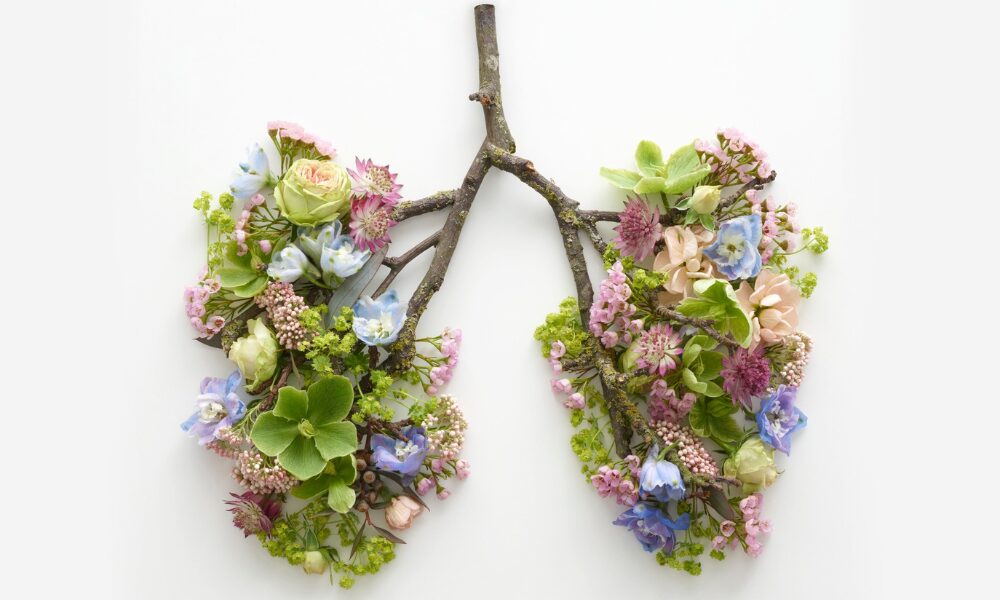 Practice Groups | AASW